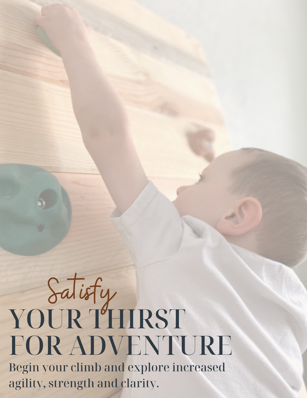 Everett & Avery Co. Premium Rock Climbing Holds (Earth Tones)