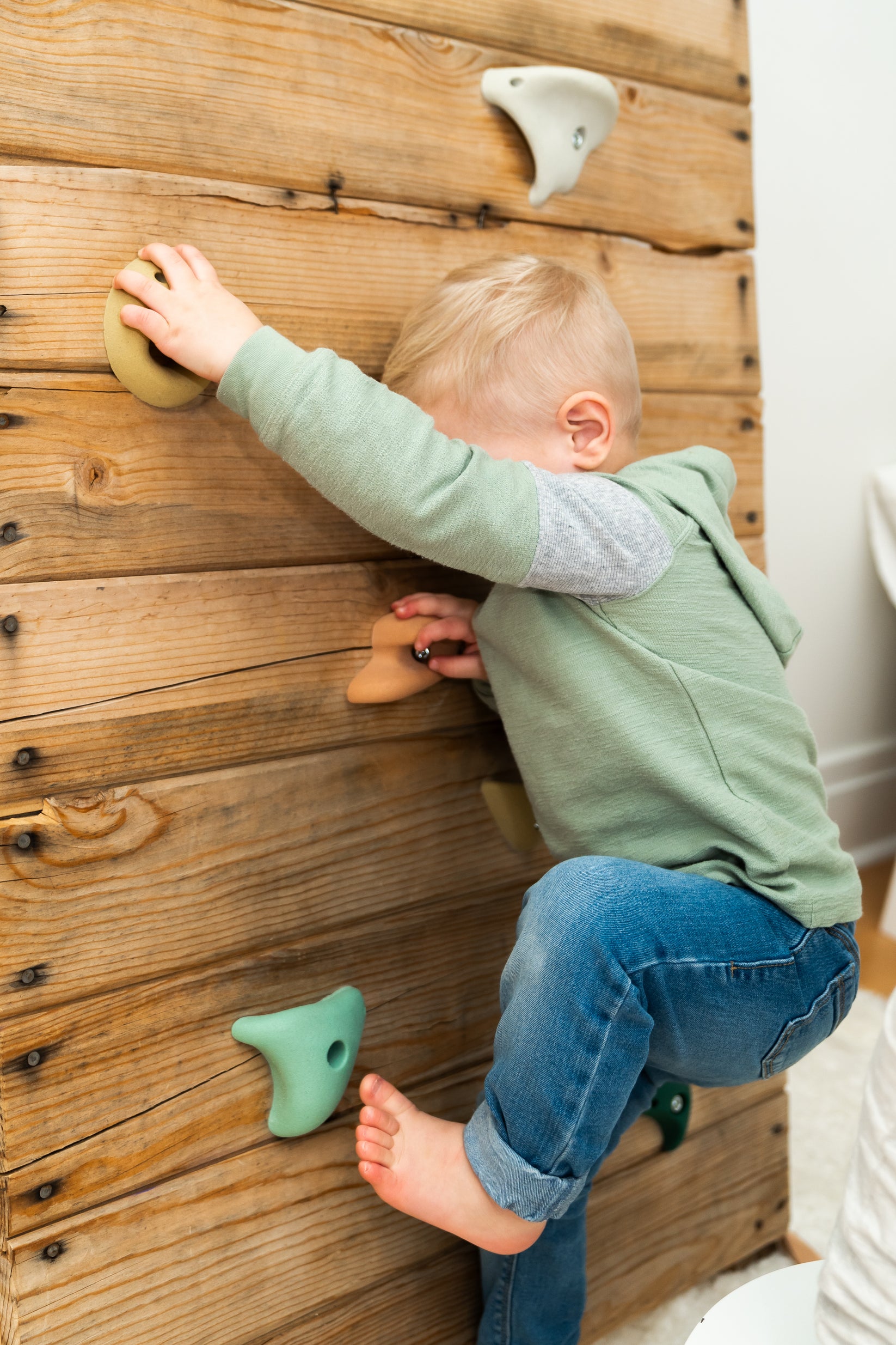 Everett & Avery Co. Premium Rock Climbing Holds (Earth Tones)